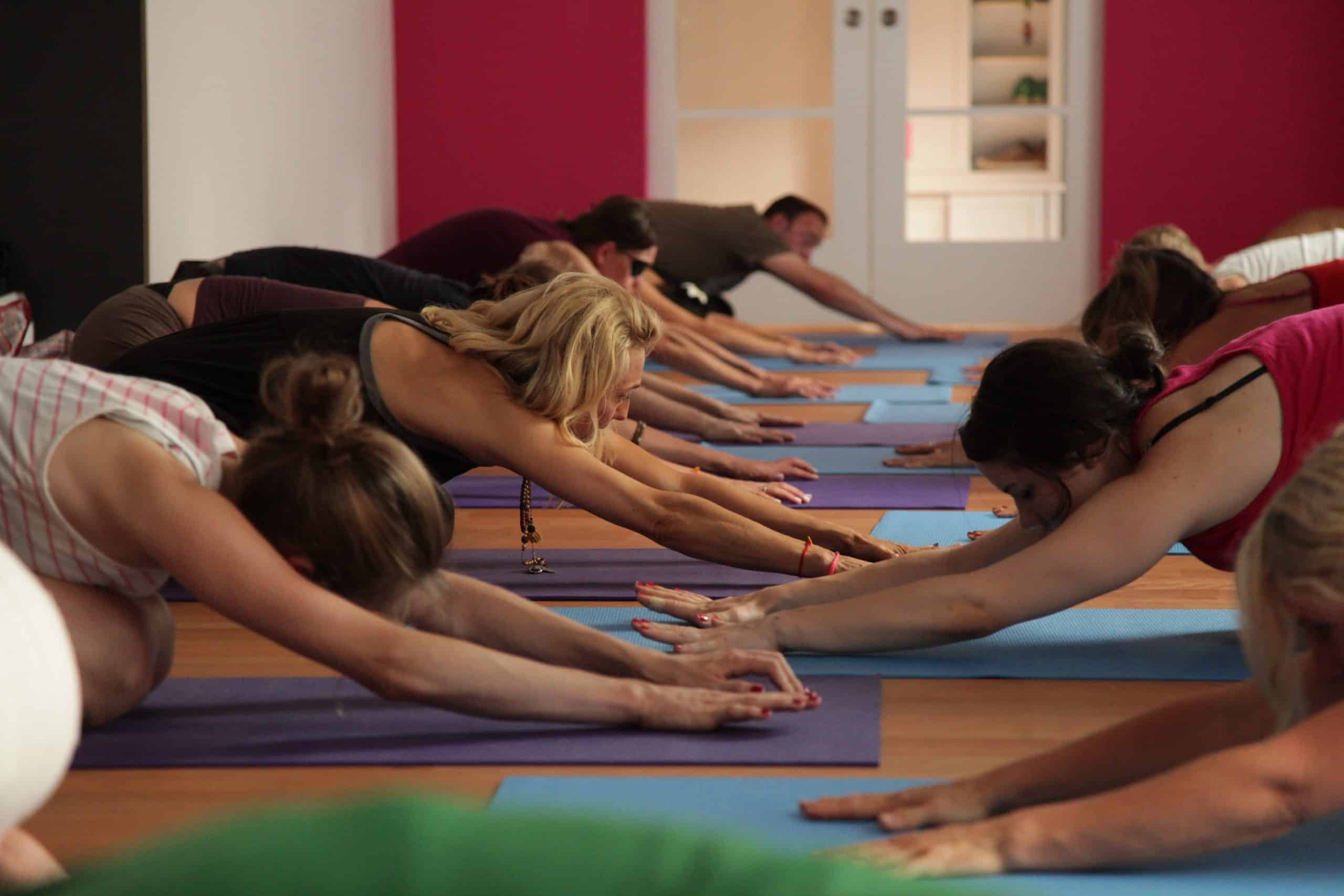 SAKTI YOGA: Yoga in Frankfurt Nordend